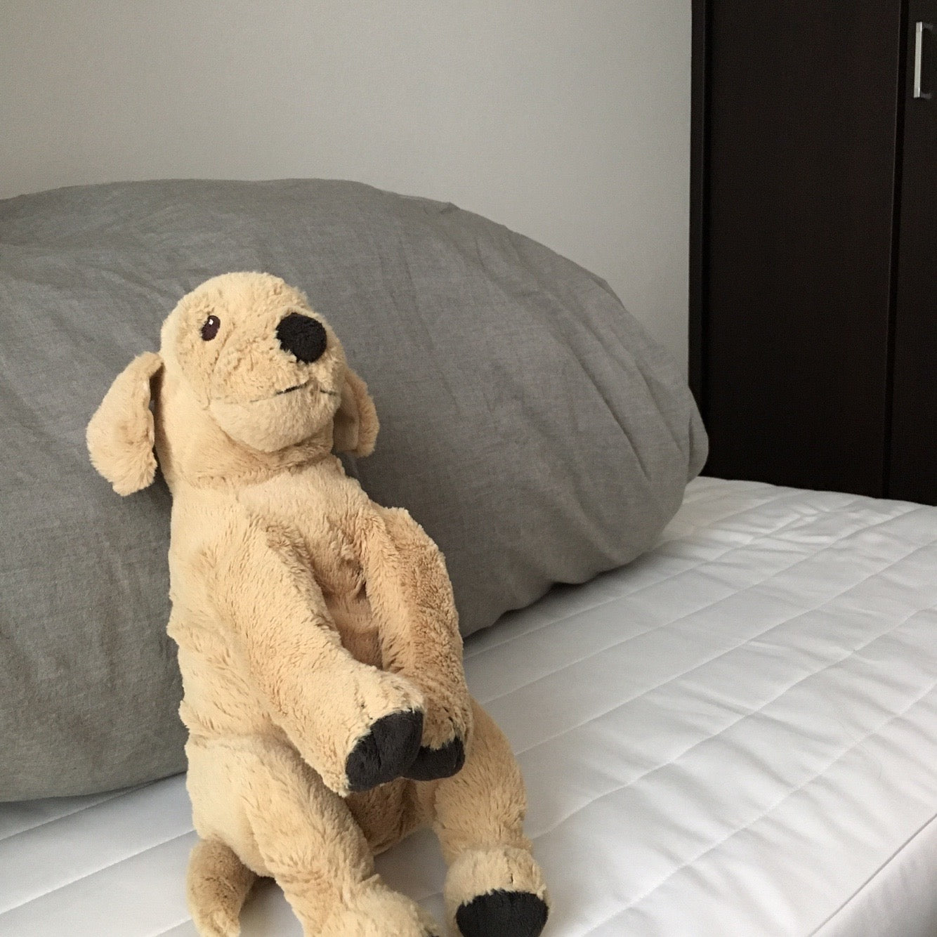 おにょこの毎日 – Ichi-oshi store